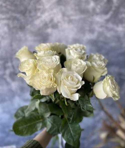 Белые розы, эквадорские розы букет
