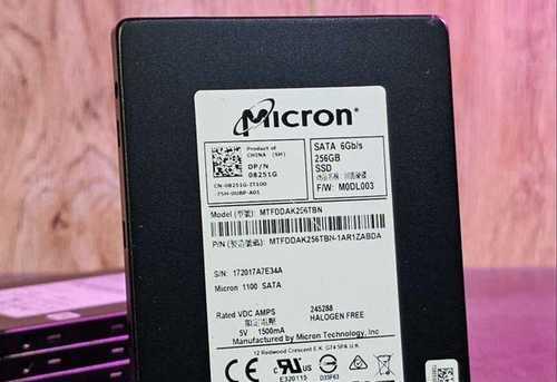 SSD 256GB Micron 1100