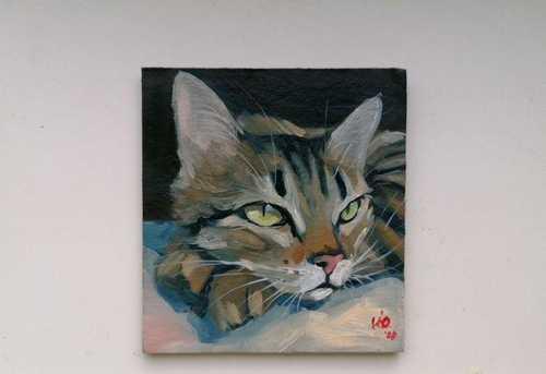 Картина маслом миниатюра с котиком