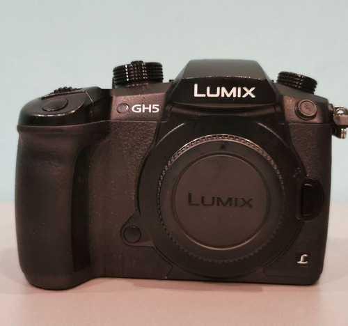 Беззеркальная камера Panasonic Lumix GH5 body