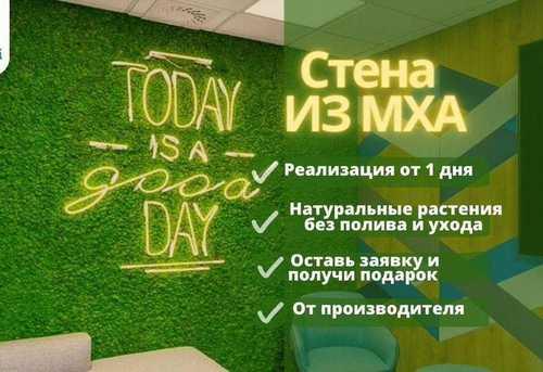 Стена из мха