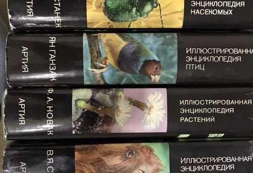 Книги иллюстрированная энциклопедия