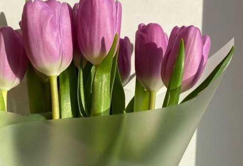 Тюльпаны свежие к 8 марта