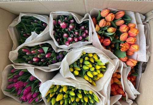 Цветы тюльпаны и букеты с доставкой