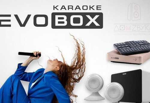 Караоке Evobox + evosound sphere + микрофоны