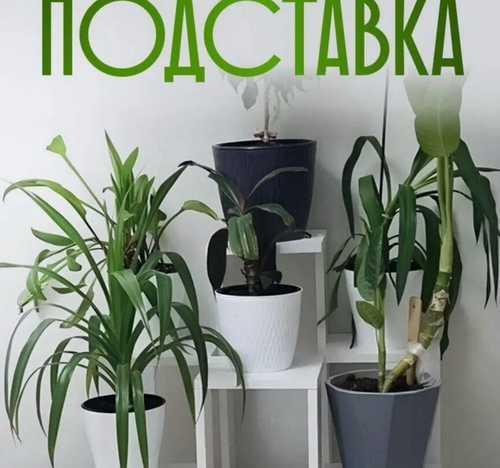 Поставка-стелаж для растений