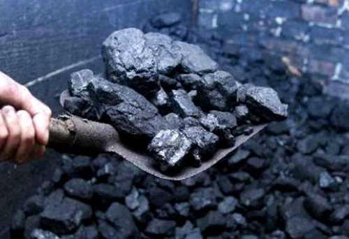 Уголь доставка день в день