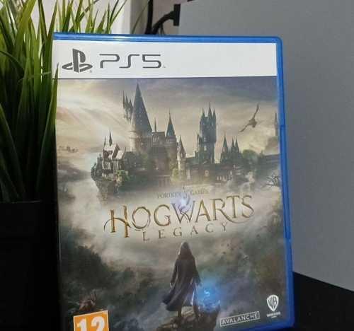 Hogwarts legacy ps5