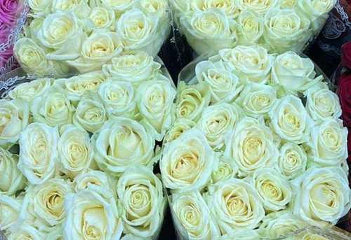 Цветы Букеты 101, 51 Роза белые с доставкой купить