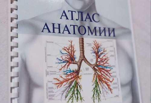 Атлас анатомии человека. Все органы
