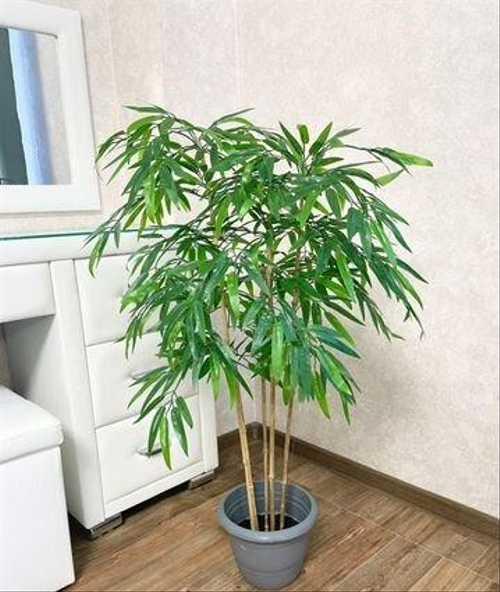 Искусственное дерево Бамбук для декора