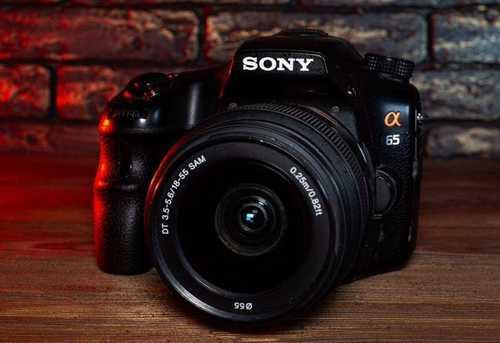 Sony a65