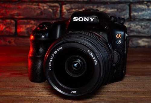 Sony a65