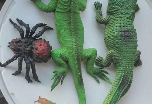 Крокодил,игуана паук и гусеница