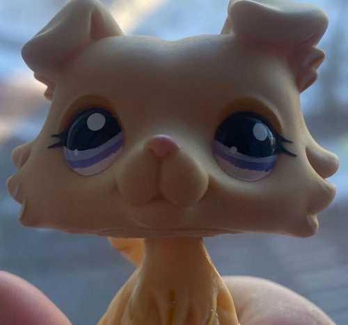 Колли littlest pet shop для Sky коллекционный