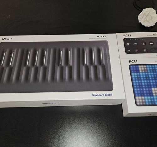 Roli seaboard block & Lightpad block