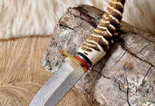Нож туристический охотный козий рог