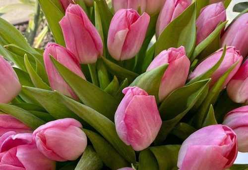 Тюльпаны премиум цветы букет доставка