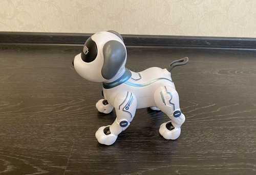 Собака робот интерактивная с пультом