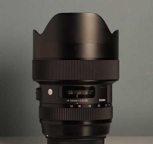 Sigma 14-24mm f/2.8 DG HSM Art Canon