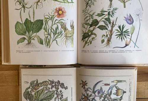 Книги про лекарственные растения новые