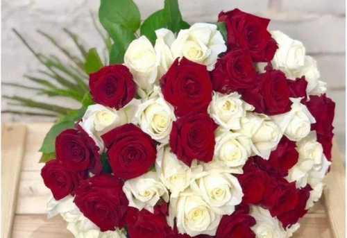 Букет из 51 красной и белой розы 60 см