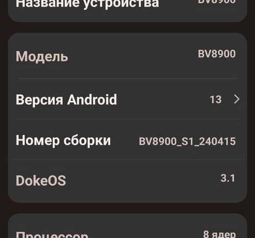 Blackview BV8900, 8/256 ГБ