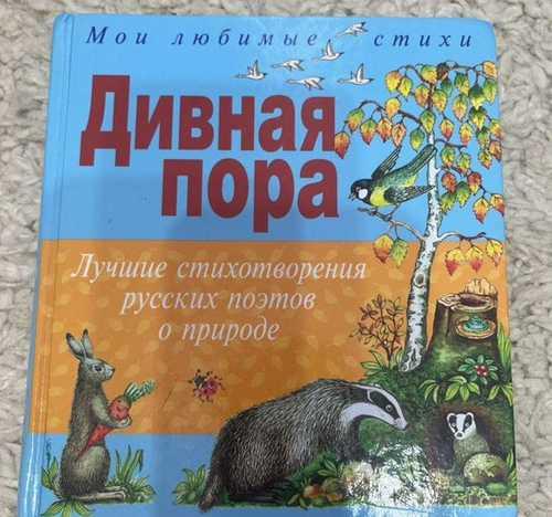 Книга Дивная пора