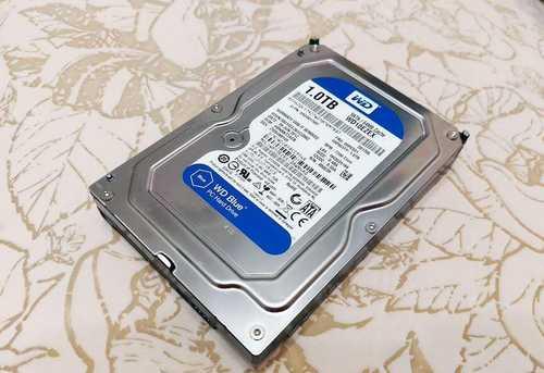 Жесткий диск WD Blue HDD 1 тб размер 3.5