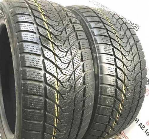 Delinte Winter WD1 215/55 R16 97N