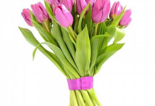 Букет из 25 тюльпанов «Весна»