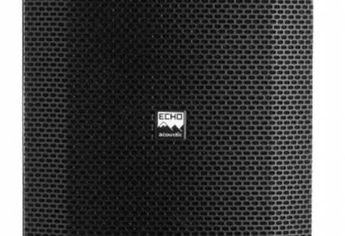 Echo acoustic EX 112p DSP