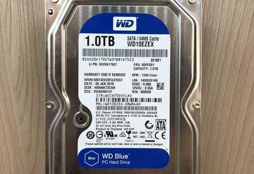 HDD 1tb WD WD10ezex