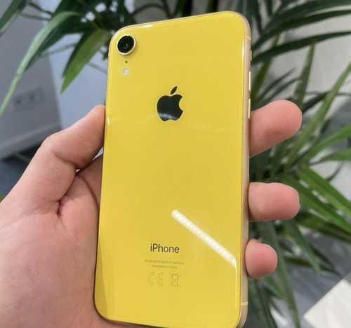 iPhone Xr, 64 ГБ