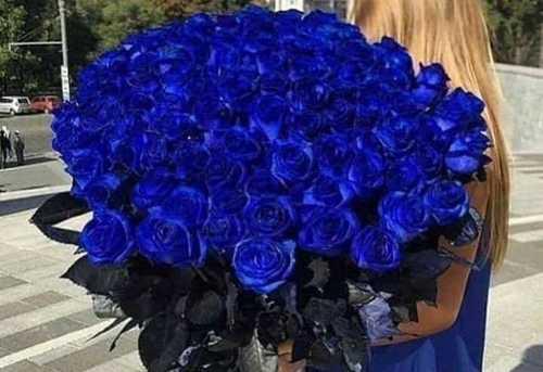 Розы. Букет синих роз. Синие розы