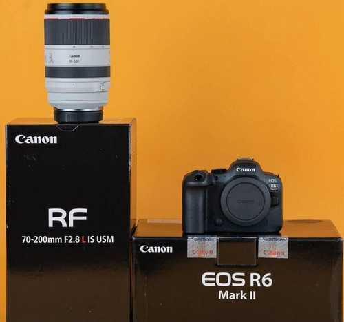 Canon EOS R6 II   Canon RF 70-200mm f/2.8 L IS USM