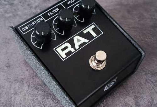 ProCo Rat 2 (новый)