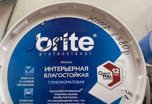 Краска Brite professional