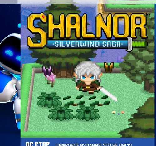 Shalnor: Silverwind Saga ps4 и ps5