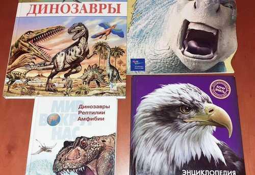 Книги Динозавры, Хищьные птицы