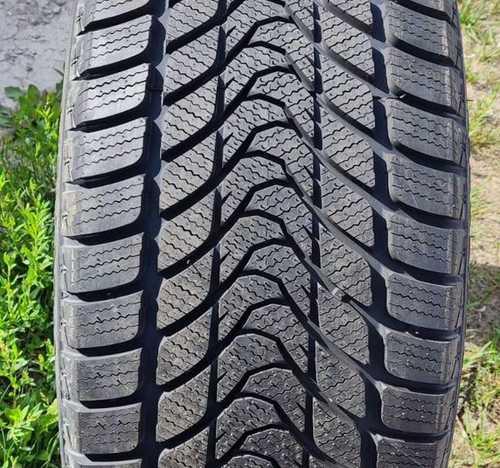 Delinte Winter WD6 185/55 R15 82H