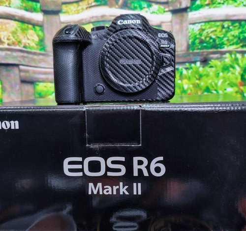 Canon EOS R6 mark II