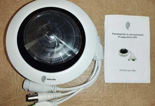 IP-камера IPr-Fish eye 5Mp