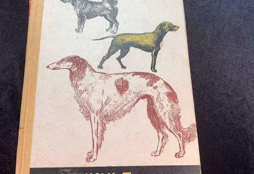 Книга охотничье собаководство 1966 год