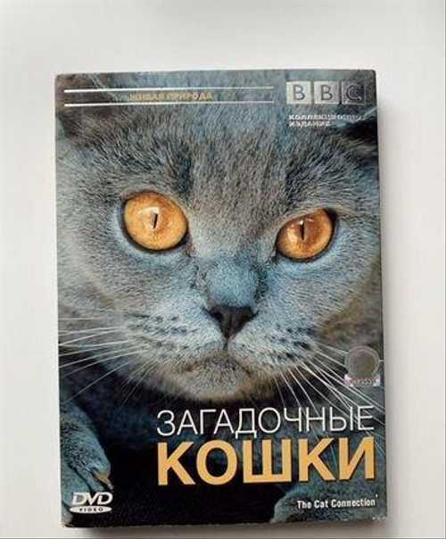 Dvd-фильм BBC Загадочные кошки