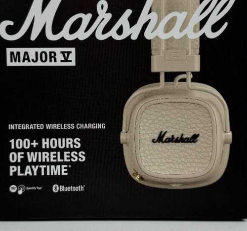 Marshall Major 5 cream