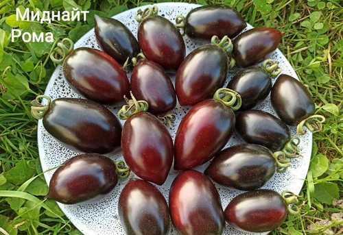 Семена коллекционных сортов томатов (часть 6)