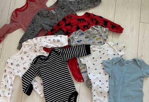 Бодики Carter’s