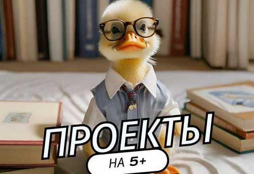 Итоговый проект 9-11 класс