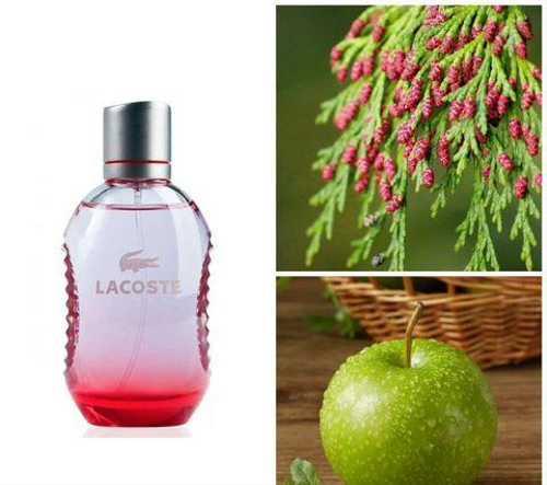 Lacoste Style in Play Fragrances UAE